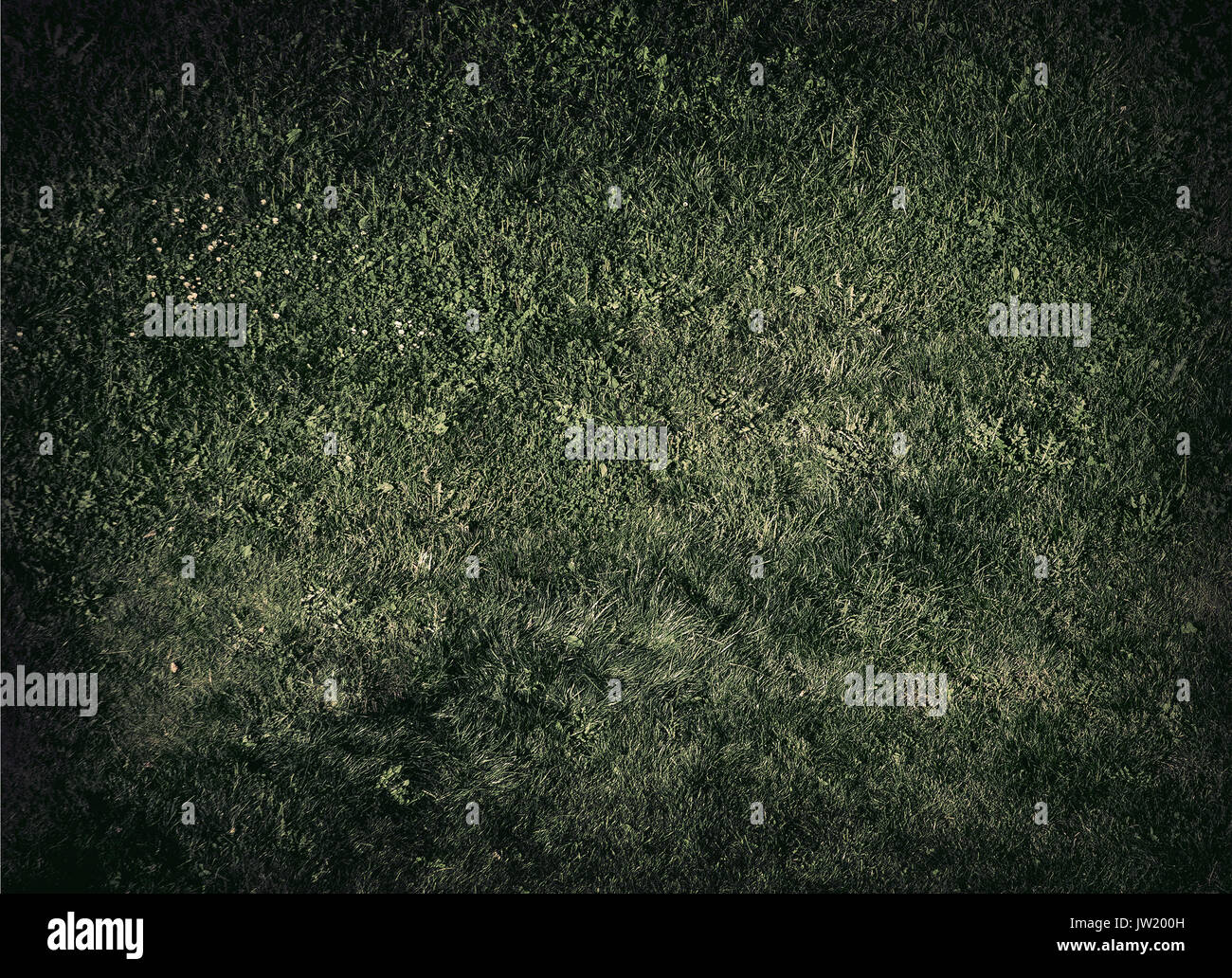 dry grassy background Stock Photo - Alamy