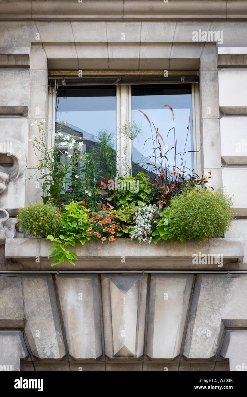 Facade planted hi-res stock photography and images - Alamy