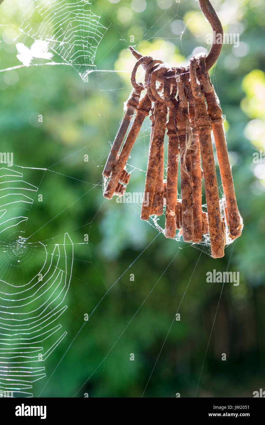 Key bunch of keys hi-res stock photography and images - Alamy