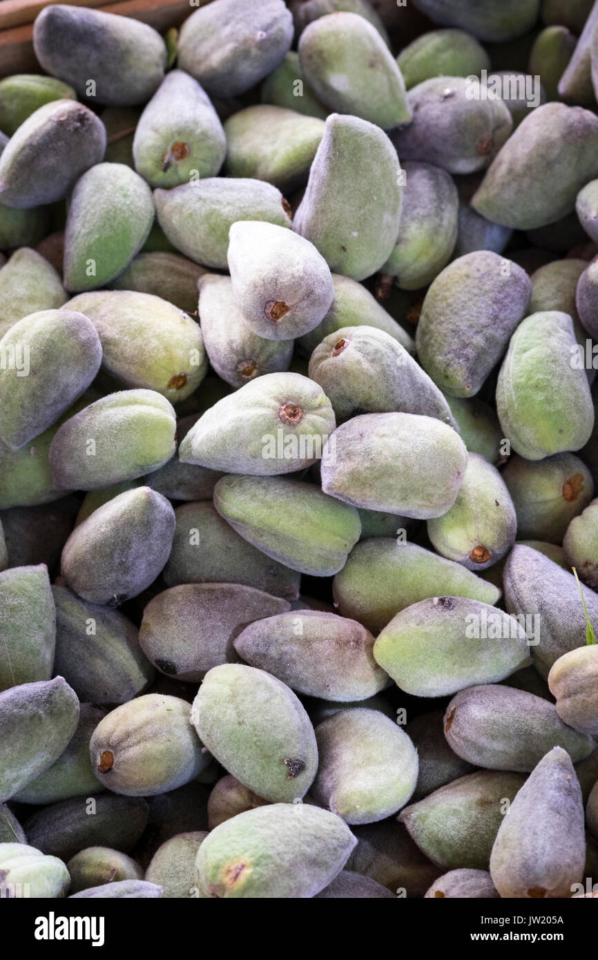Unpeeled almonds at outdoor market in Carcassonne, France Stock Photo ...