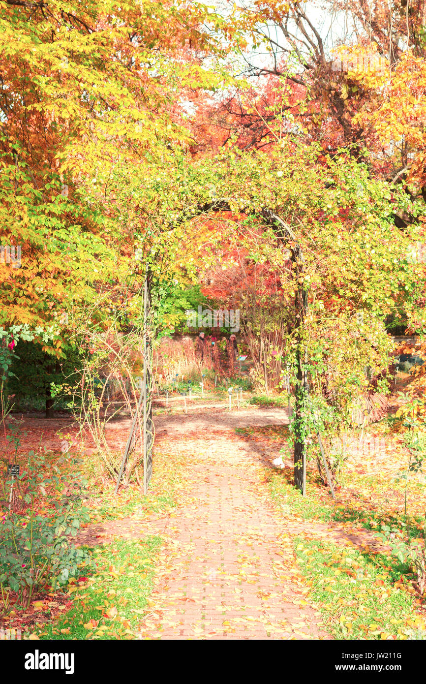 Fall park path Stock Photo - Alamy