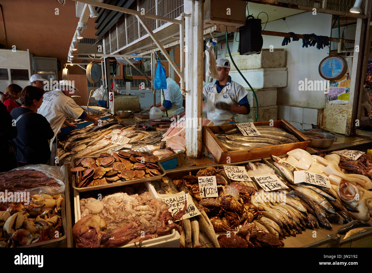 Seafood stall at Central Market, Santiago, Chile, South America Stock ...