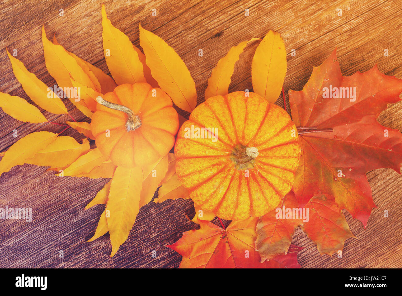 pumpkin on table Stock Photo - Alamy