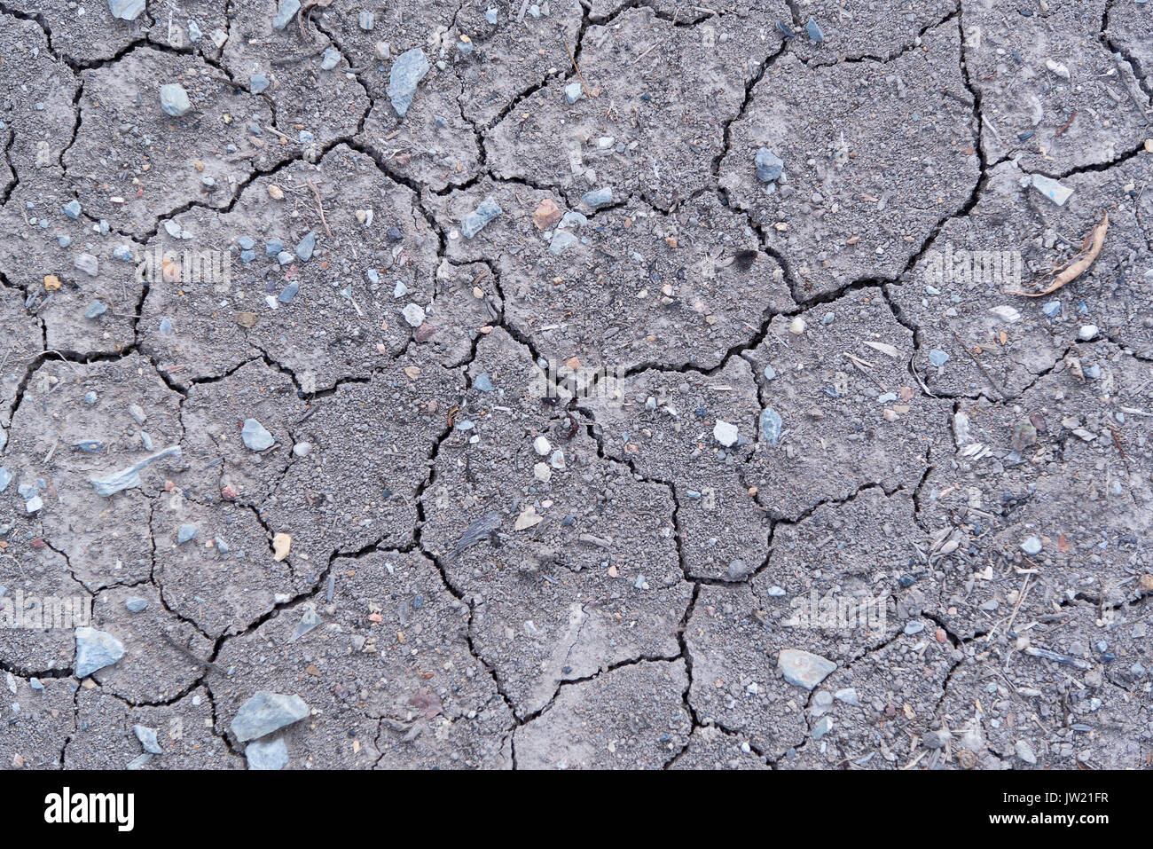 Dry land or dry soil. Cracked ground background. agriculture concept ...