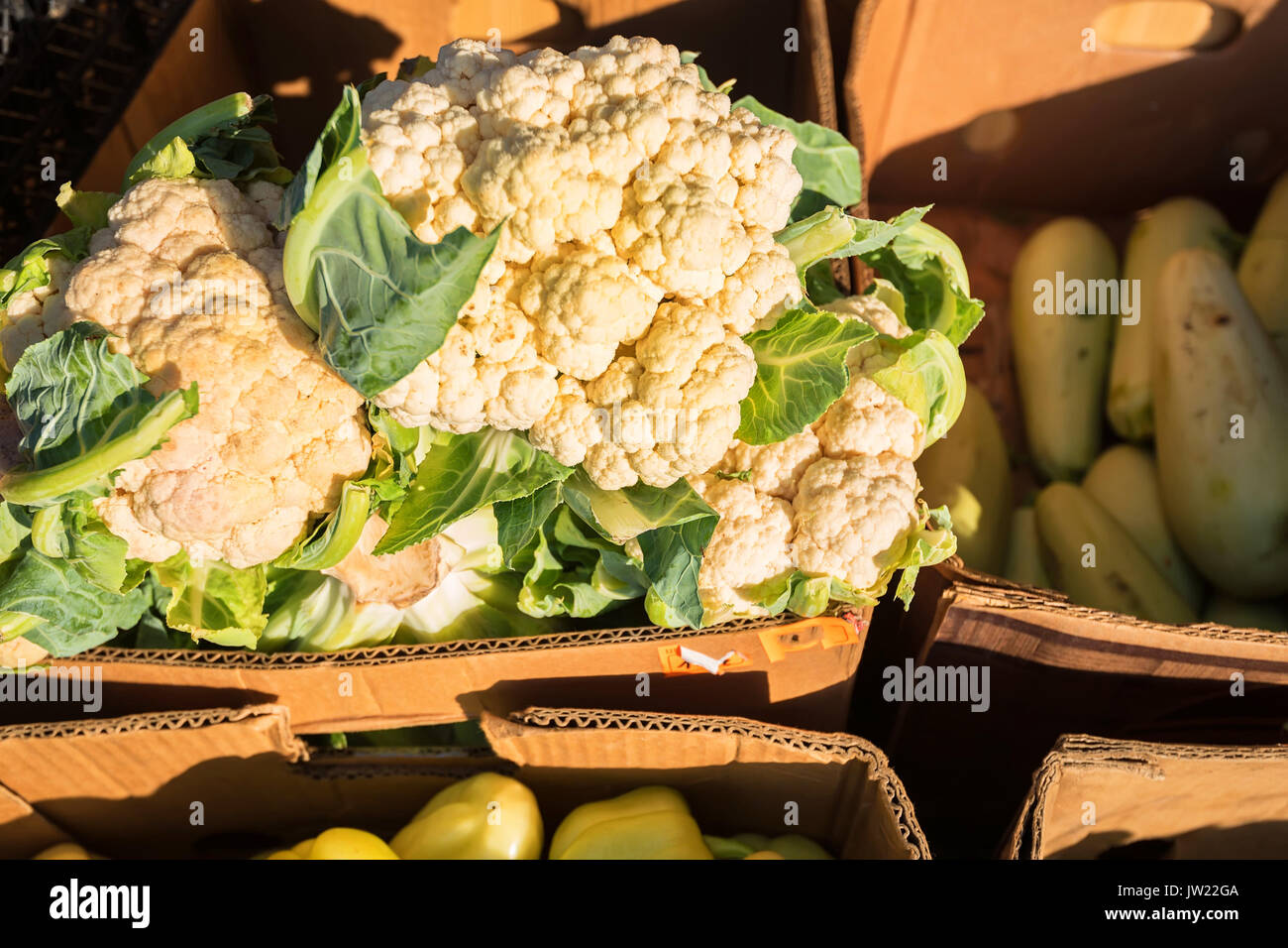 Cauliflower close-up in box on market Stock Photo - Alamy