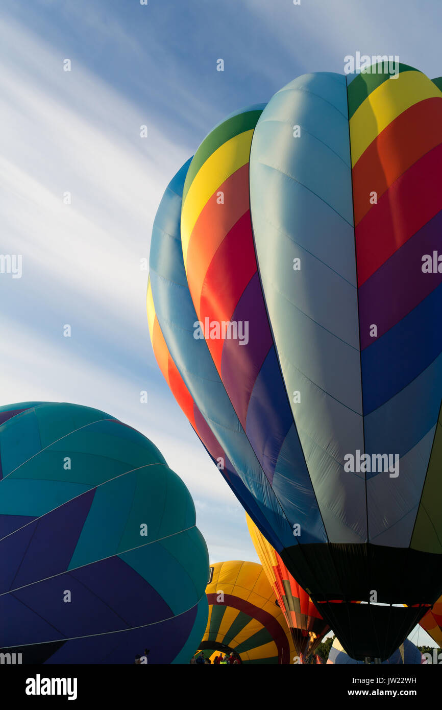 Biscus hi-res stock photography and images - Alamy