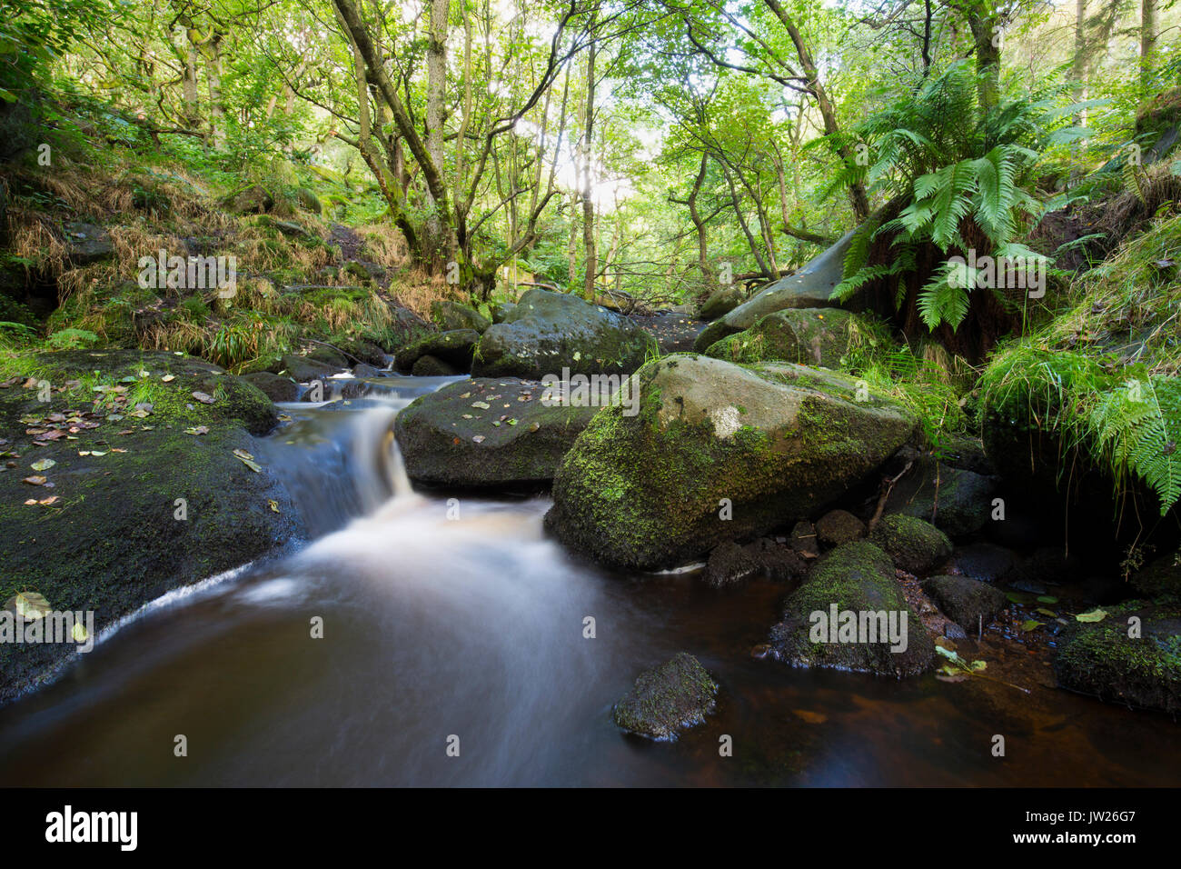 Padley Gorge; Derbyshire; UK Stock Photo - Alamy