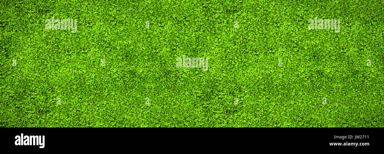 Astro turf surface Stock Photo - Alamy