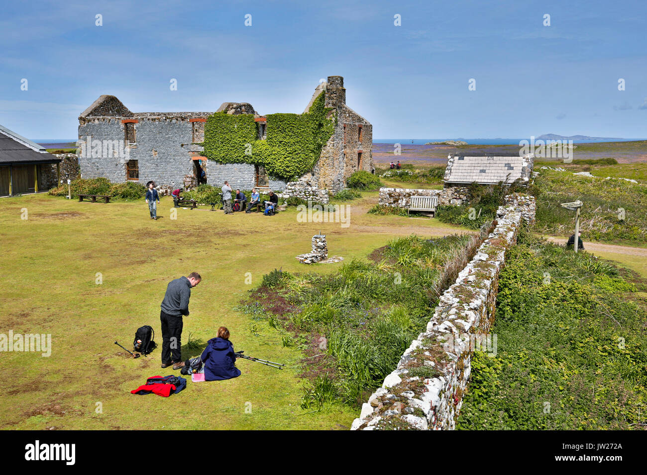 Skomer hi-res stock photography and images - Alamy