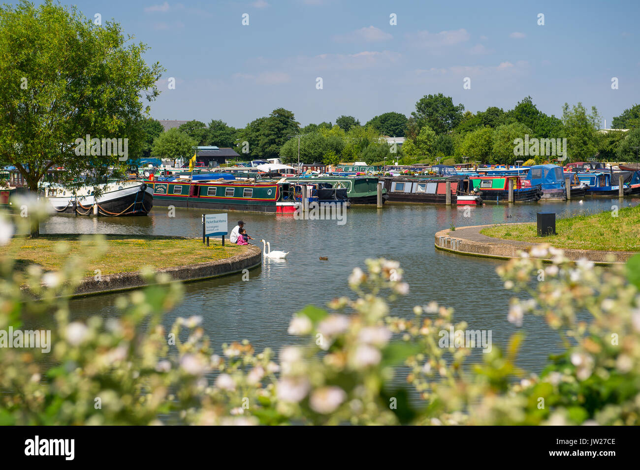 Packet boat pictures