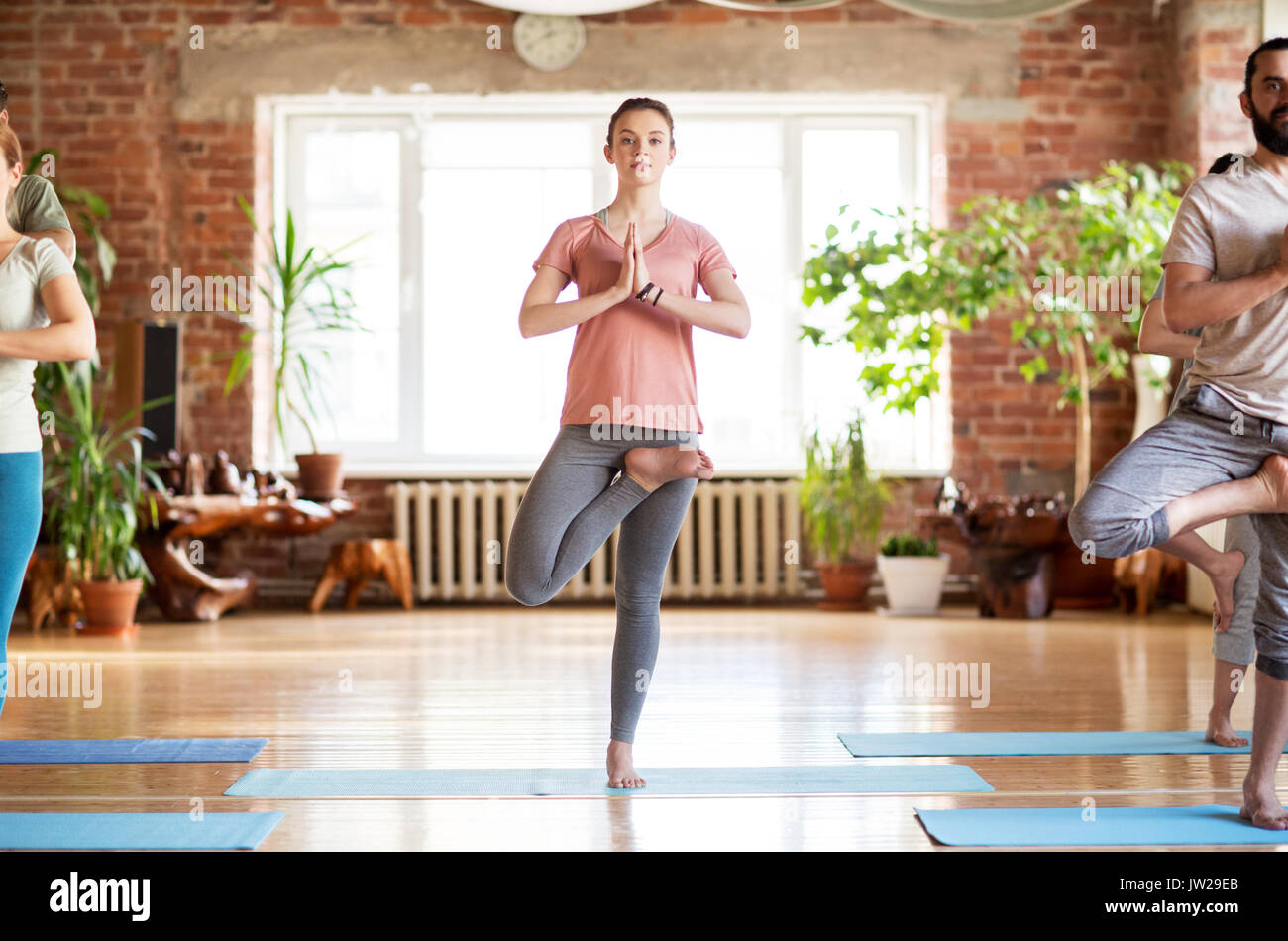 group of people doing yoga tree pose at studio Stock Photo - Alamy