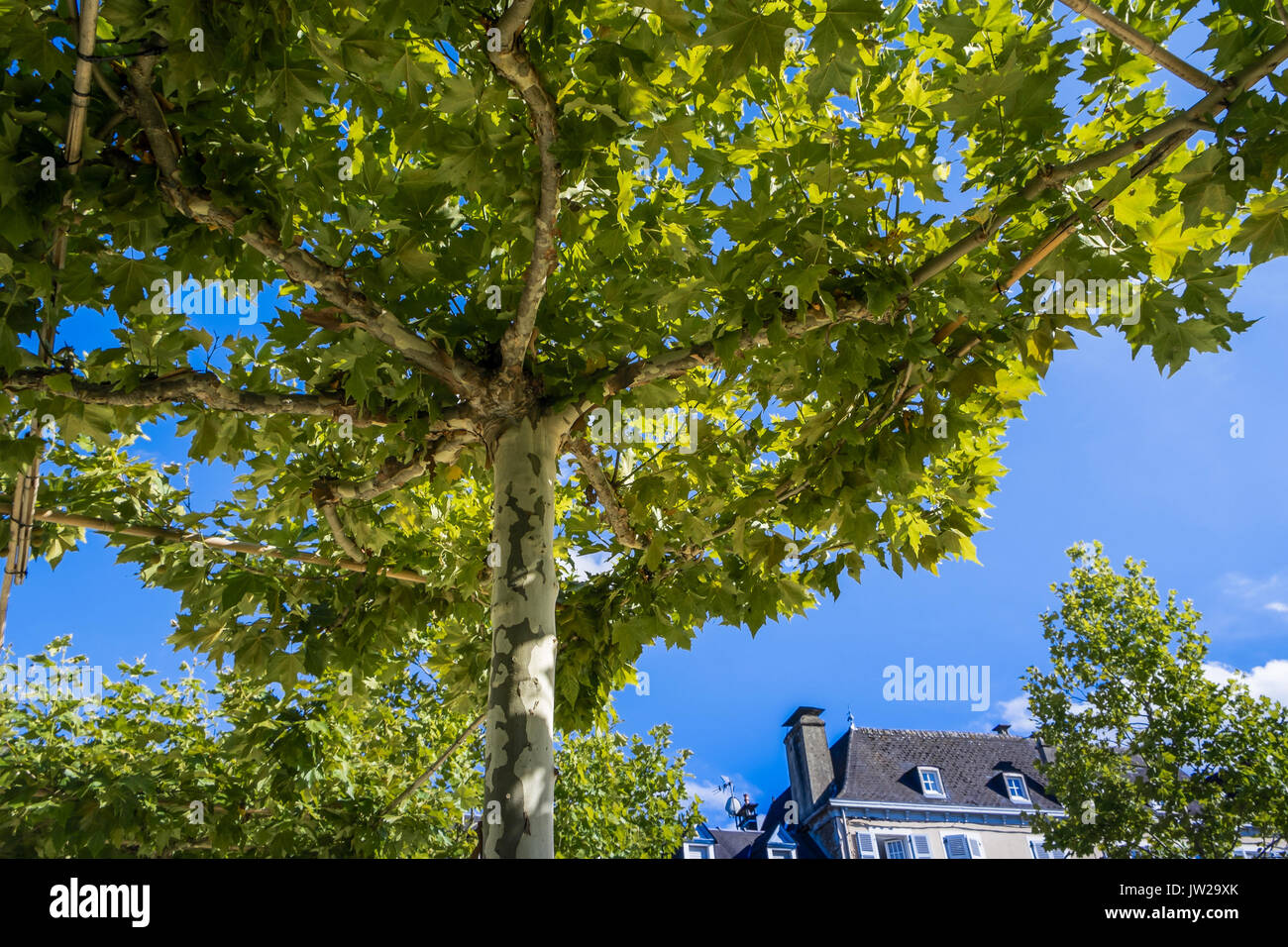 Plane overhead hi-res stock photography and images - Alamy