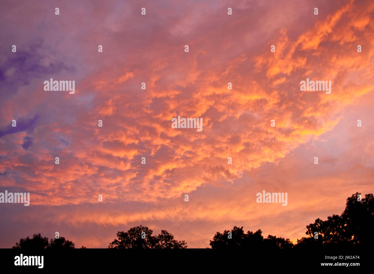 Golden sun sunlight hi-res stock photography and images - Alamy