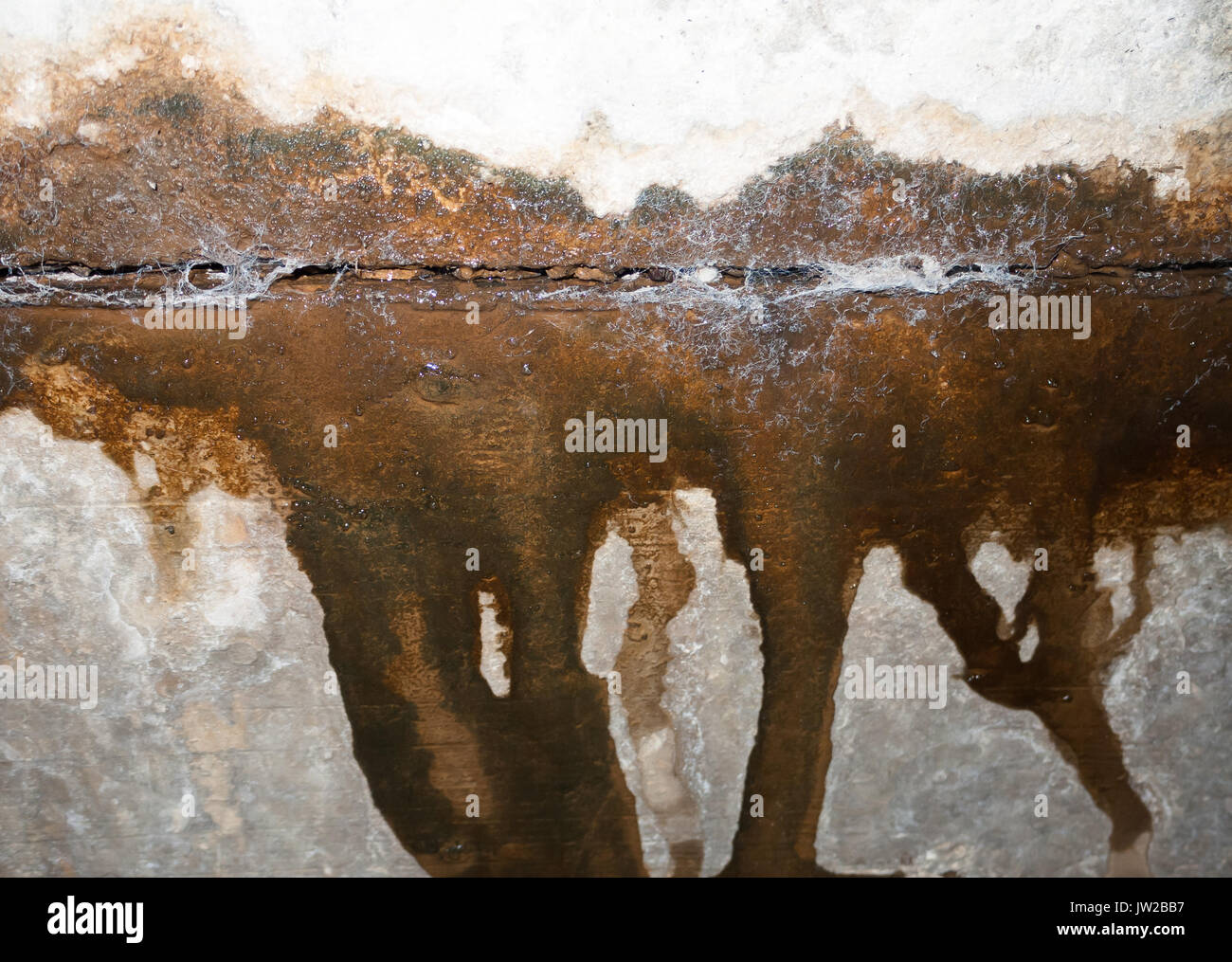 Damp cellar wall hi-res stock photography and images - Alamy