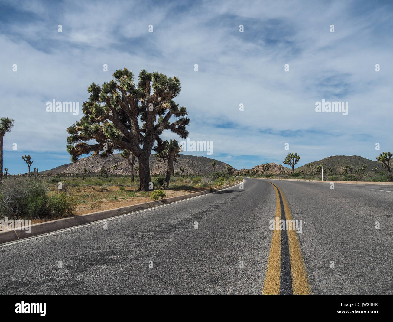 Road in joshua tree hi-res stock photography and images - Alamy
