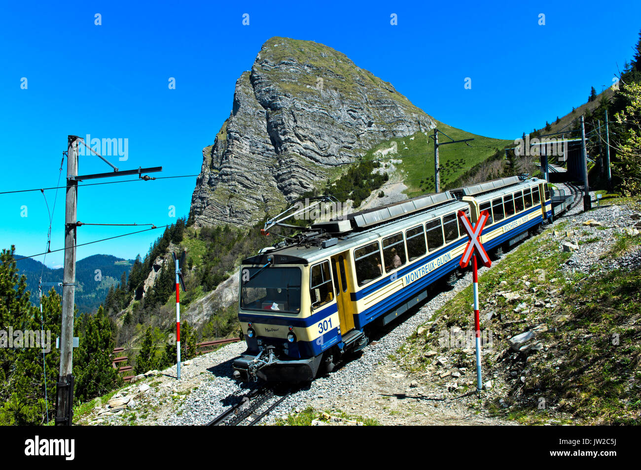 Cog Train Switzerland