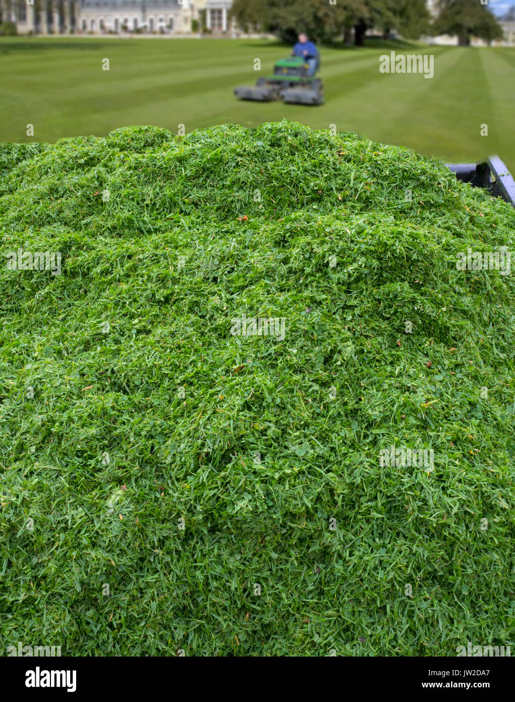 Cutting grass on a large lawn in Spring Stock Photo - Alamy