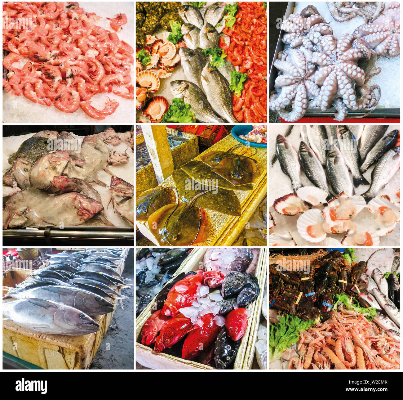Fish and seafood collage Stock Photo - Alamy