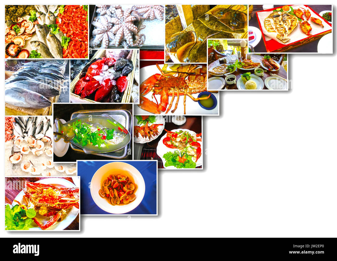 Seafood collage hi-res stock photography and images - Alamy