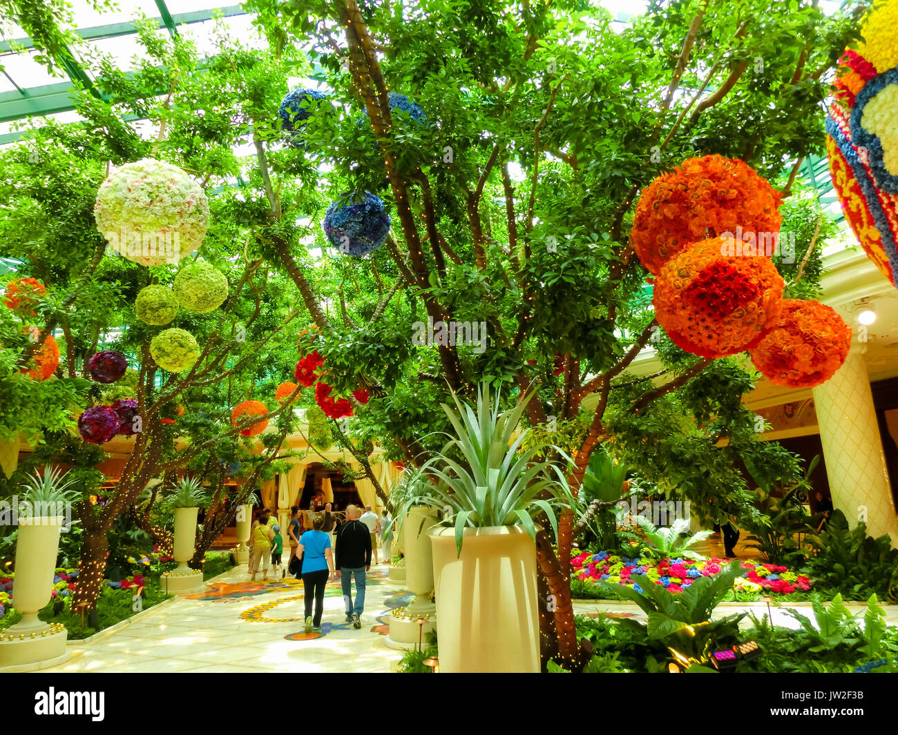 Las Vegas, United States of America - May 06, 2016: Flowers ...