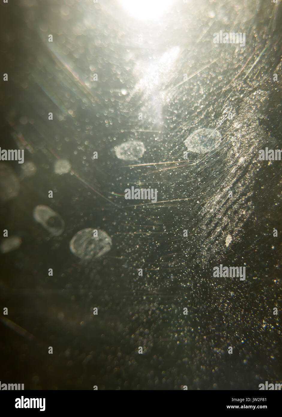 Scratched Lens Texture