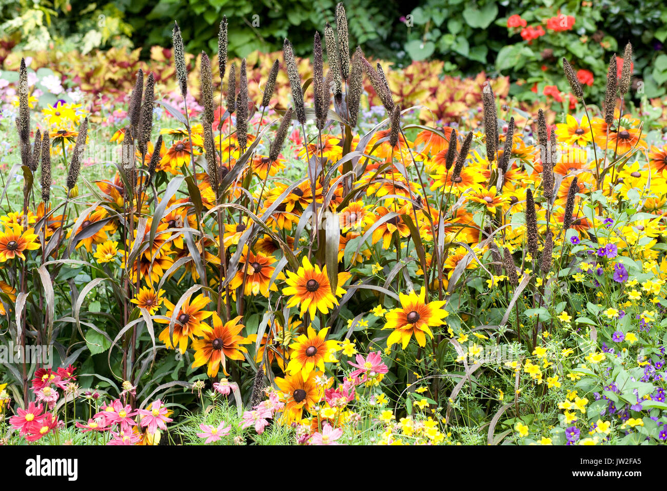 flowering decorative borders Stock Photo - Alamy