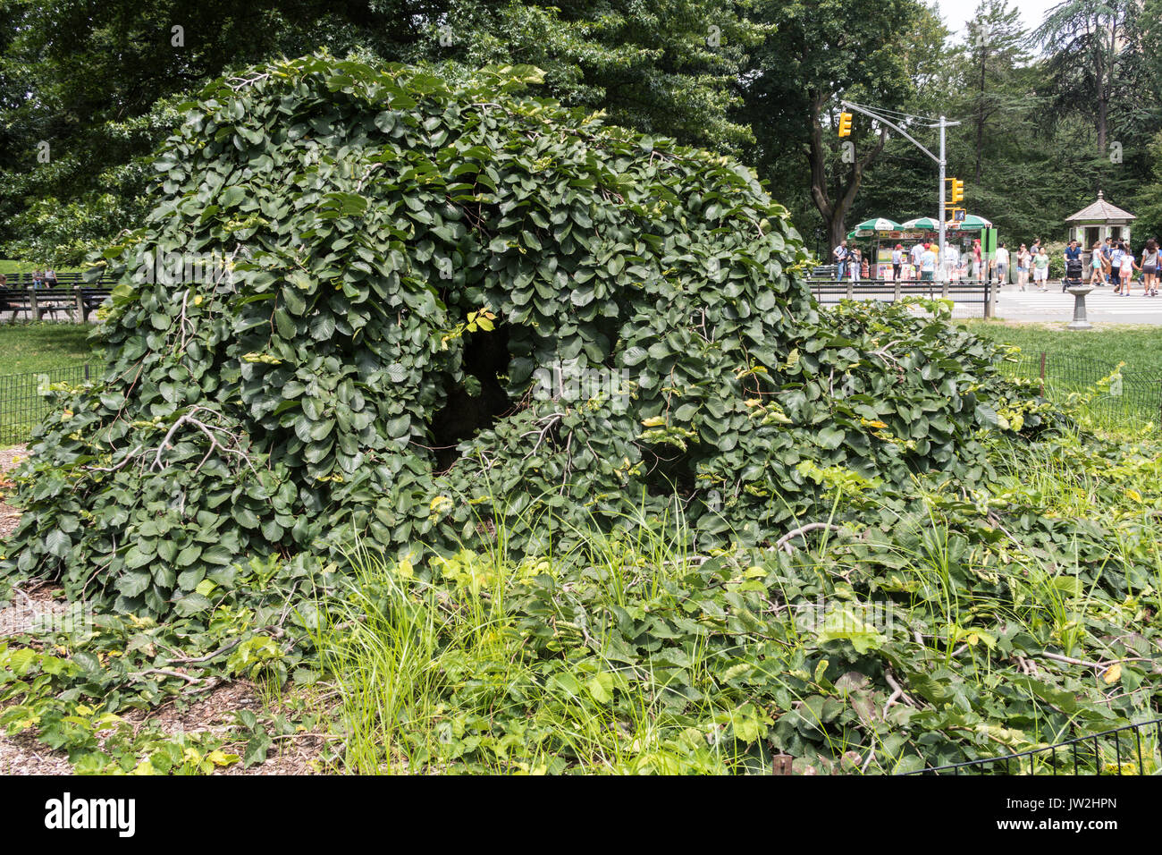 Camperdown hi-res stock photography and images - Alamy