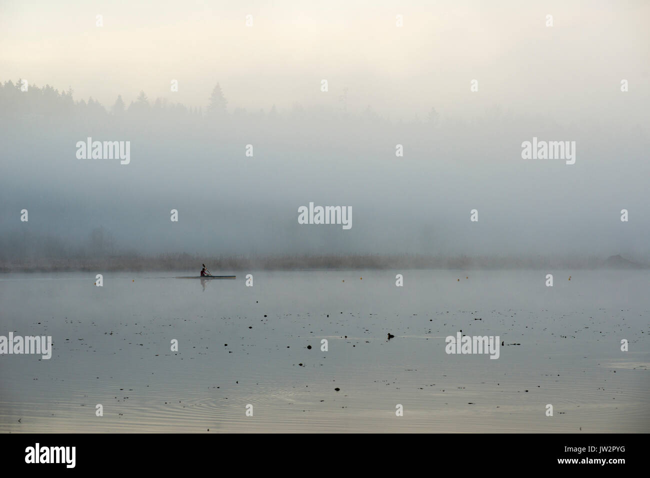 Mist rises from the forest hi-res stock photography and images - Alamy