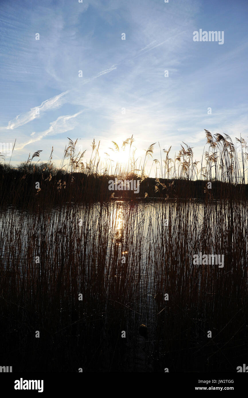 Cosmeston lake history hi-res stock photography and images - Alamy