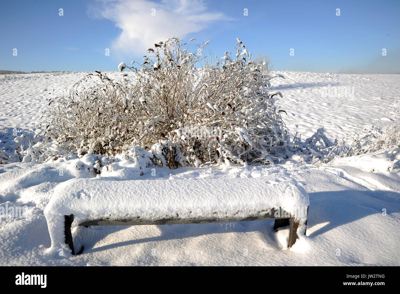 Leckwith hi-res stock photography and images - Alamy