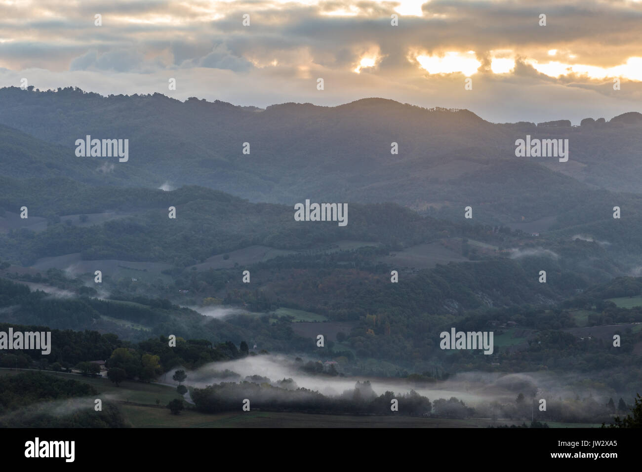 Light filtering through trees hi-res stock photography and images - Alamy