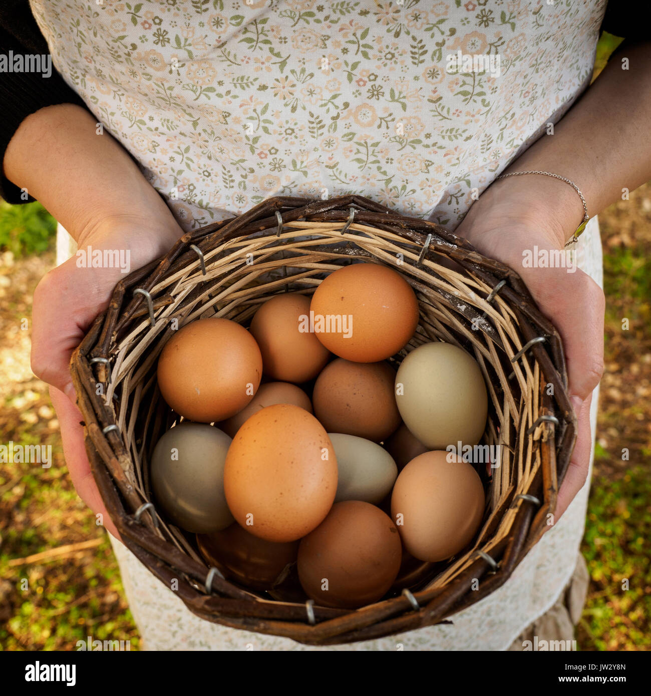 Hold basket hi-res stock photography and images - Alamy