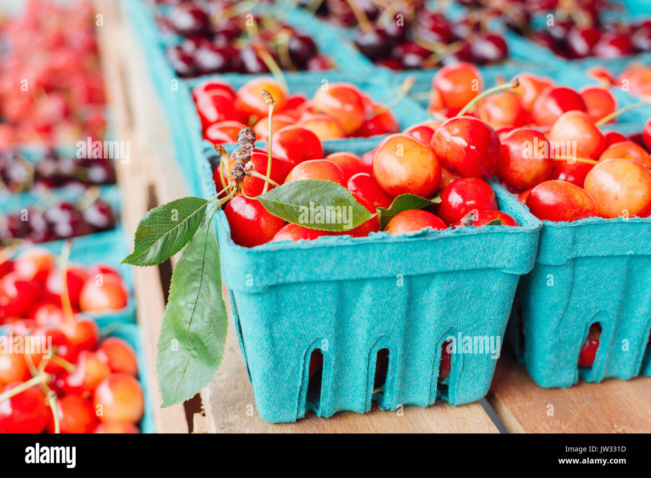 Fresh cherries in paper containers at farmer's market Stock Photo - Alamy