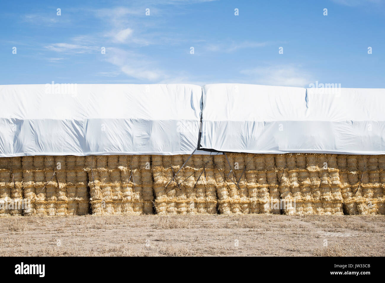 Stack of hay covered with tarpaulin hi-res stock photography and images ...