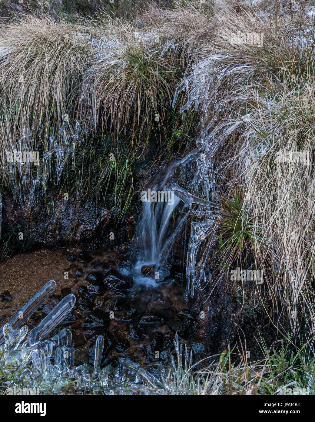 Glen muick hi-res stock photography and images - Alamy