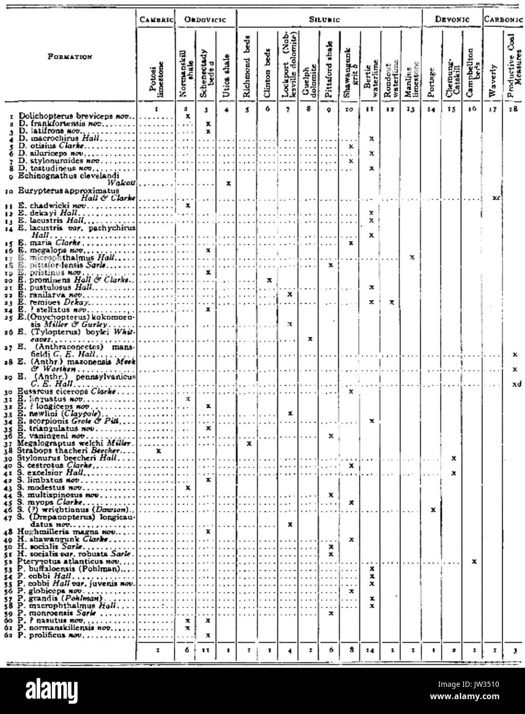 The Eurypterida of New York table p 431 Stock Photo - Alamy