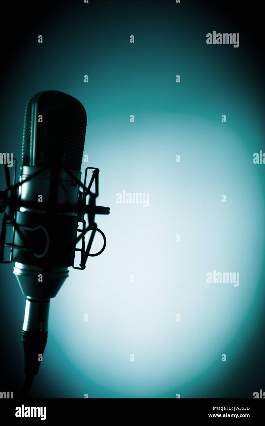 Studio vocal large diaphragm condenser voiceover recording microphone ...