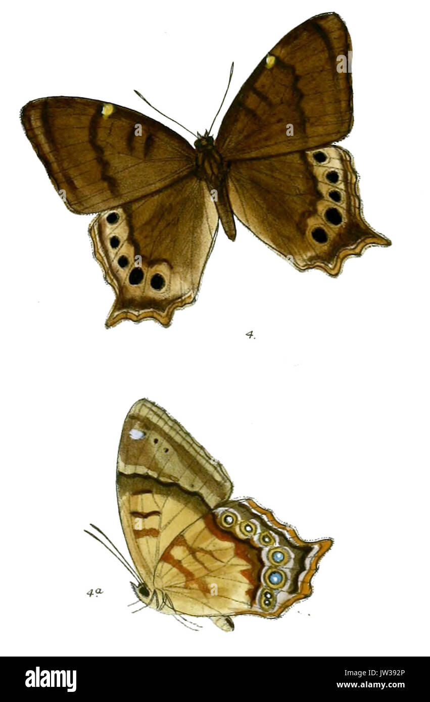 Lethe painting hi-res stock photography and images - Alamy