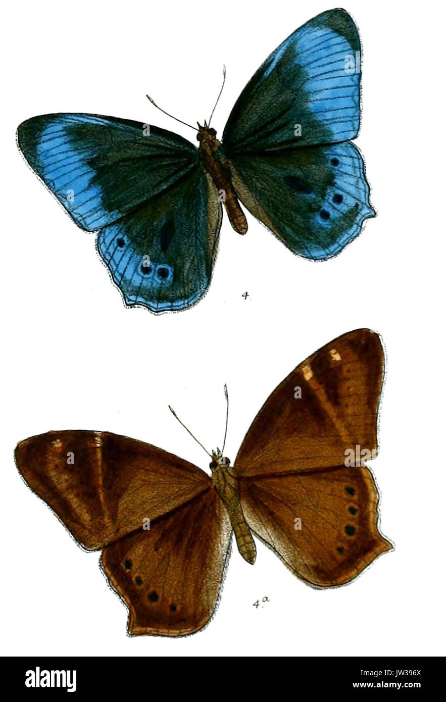 Lethe painting hi-res stock photography and images - Alamy