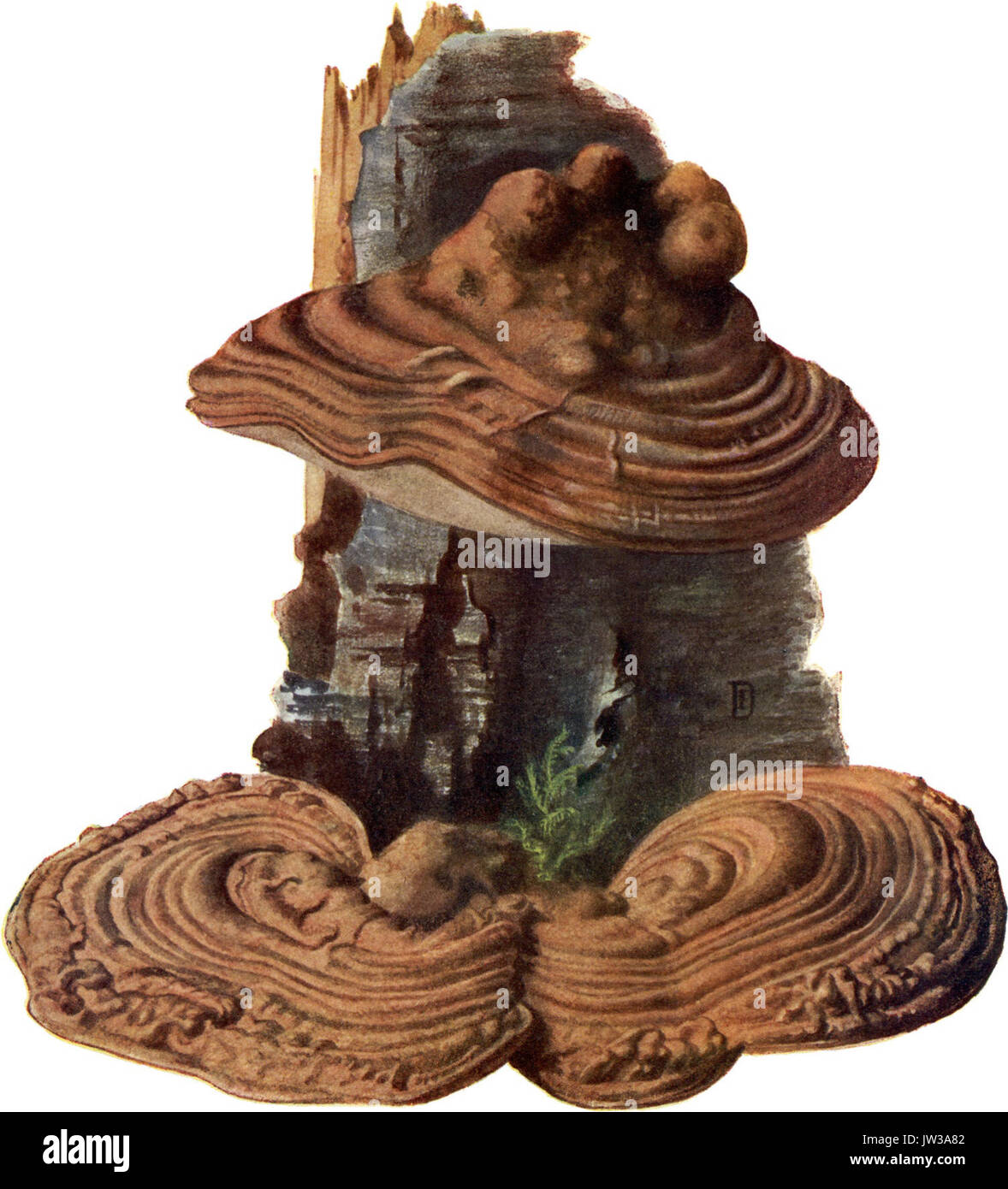 T d wood Cut Out Stock Images & Pictures - Alamy