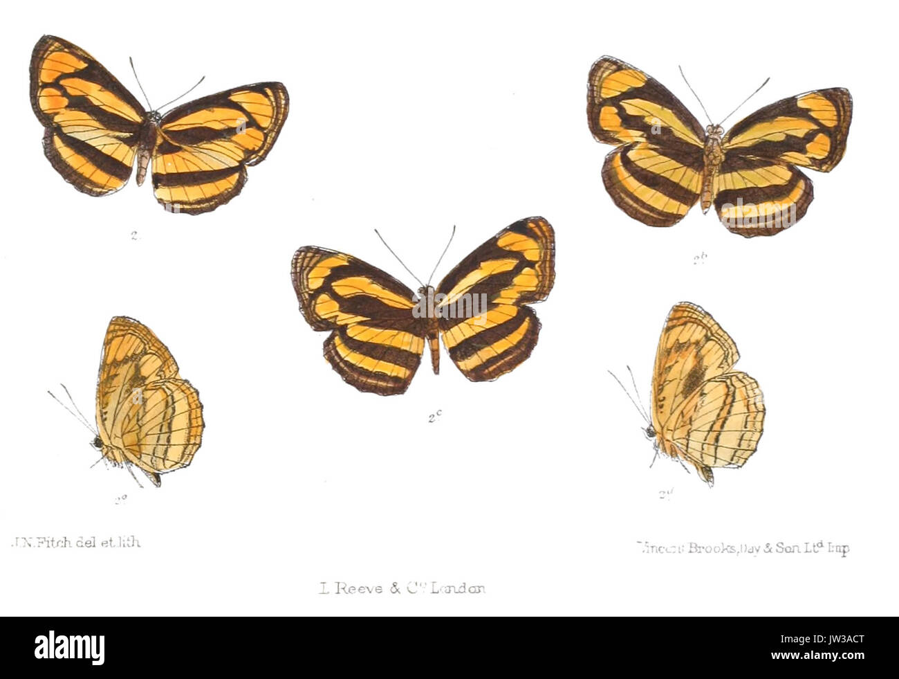 RahindaParaka 302 2 Stock Photo - Alamy