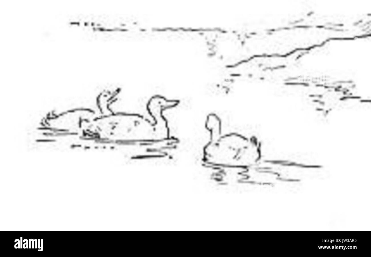 Simple Duck Drawing Stock Photo - Alamy