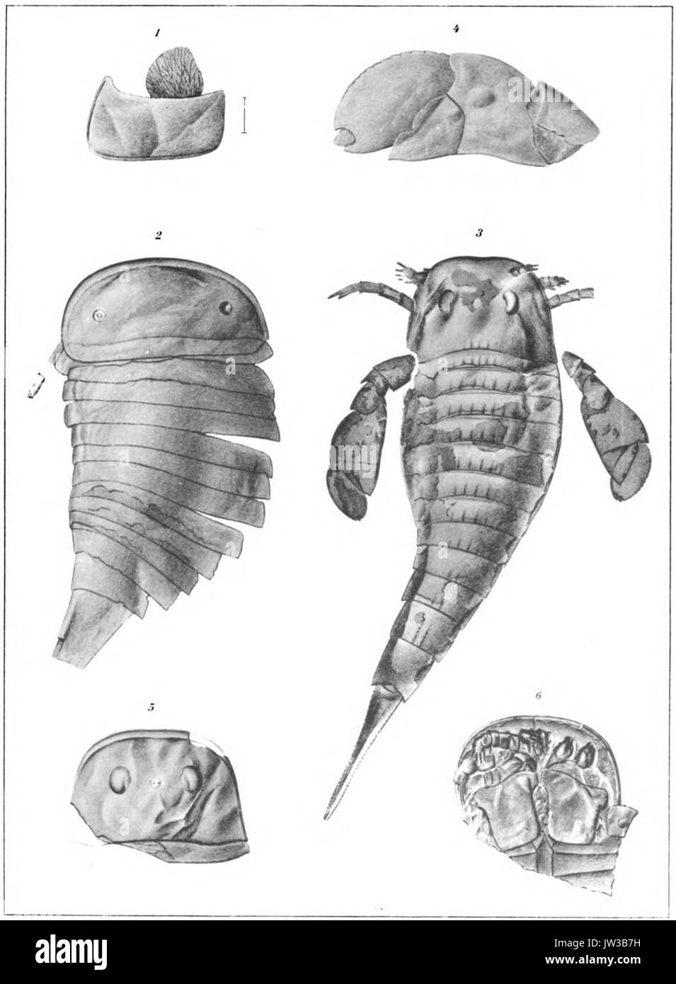 New york 13 Black and White Stock Photos & Images - Alamy