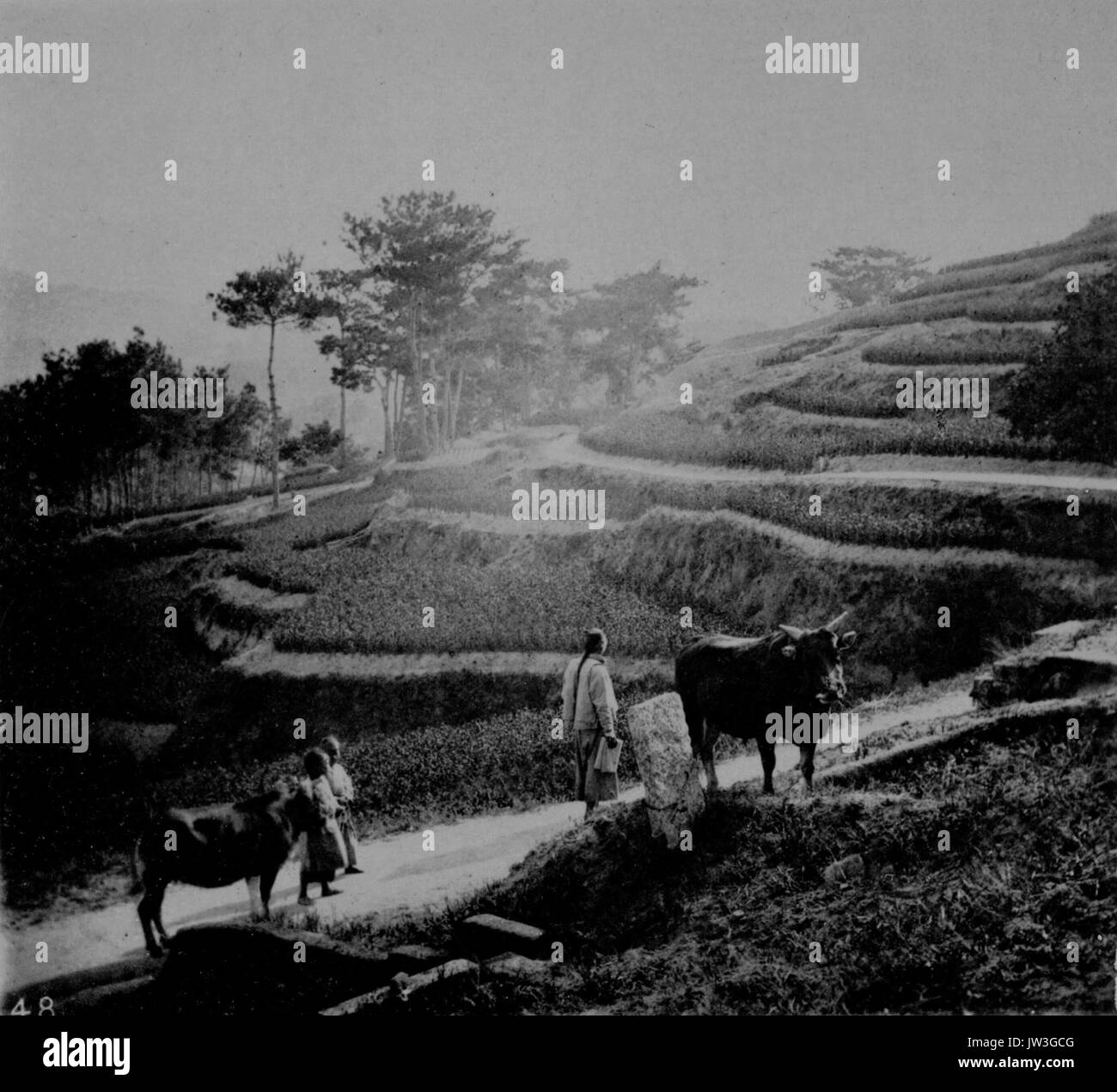 Erosion prevention hillside hi-res stock photography and images - Alamy