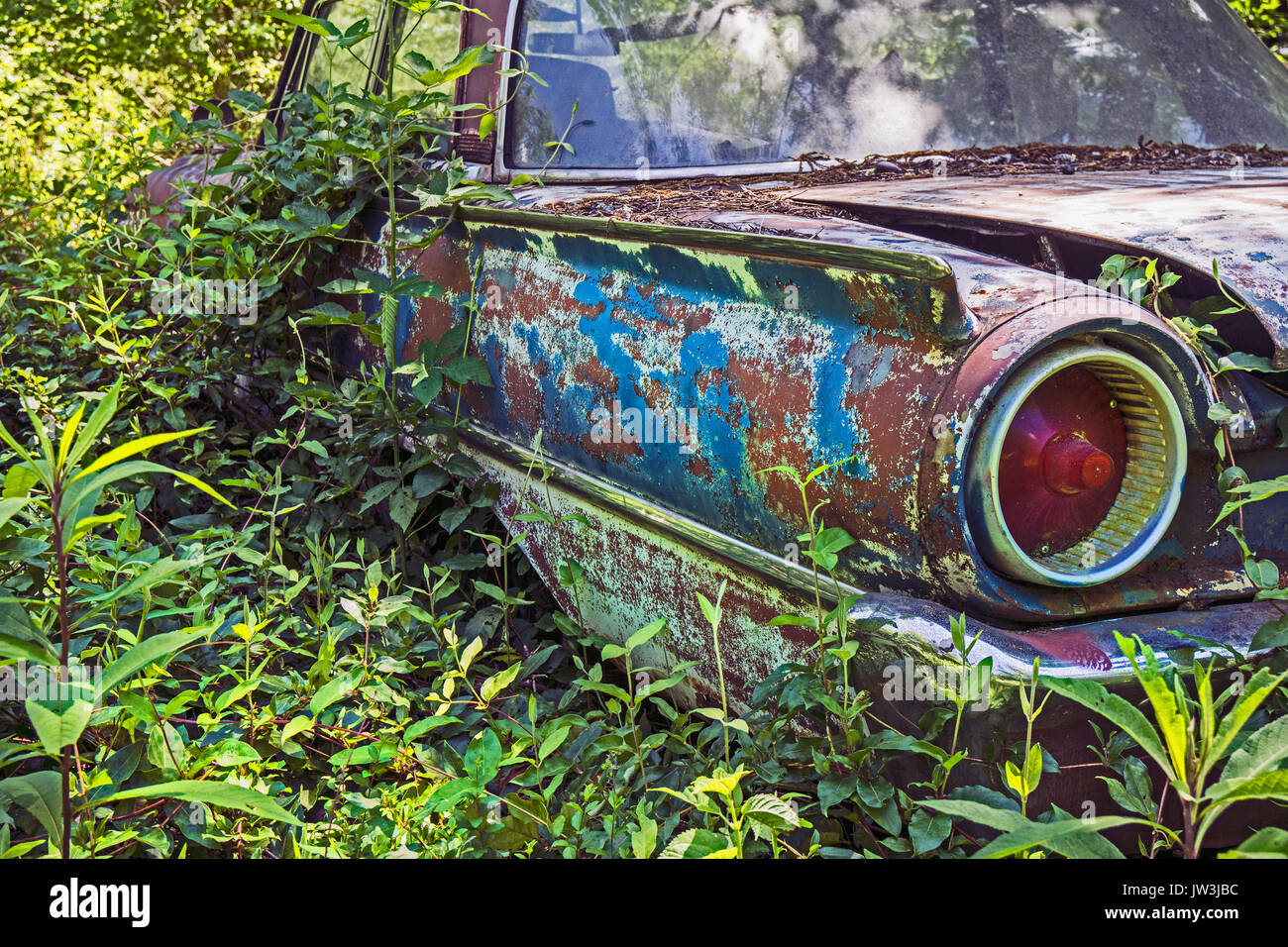Overgrown car hi-res stock photography and images - Alamy