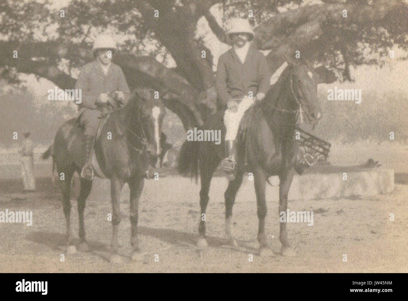 Indian ponies hi-res stock photography and images - Alamy