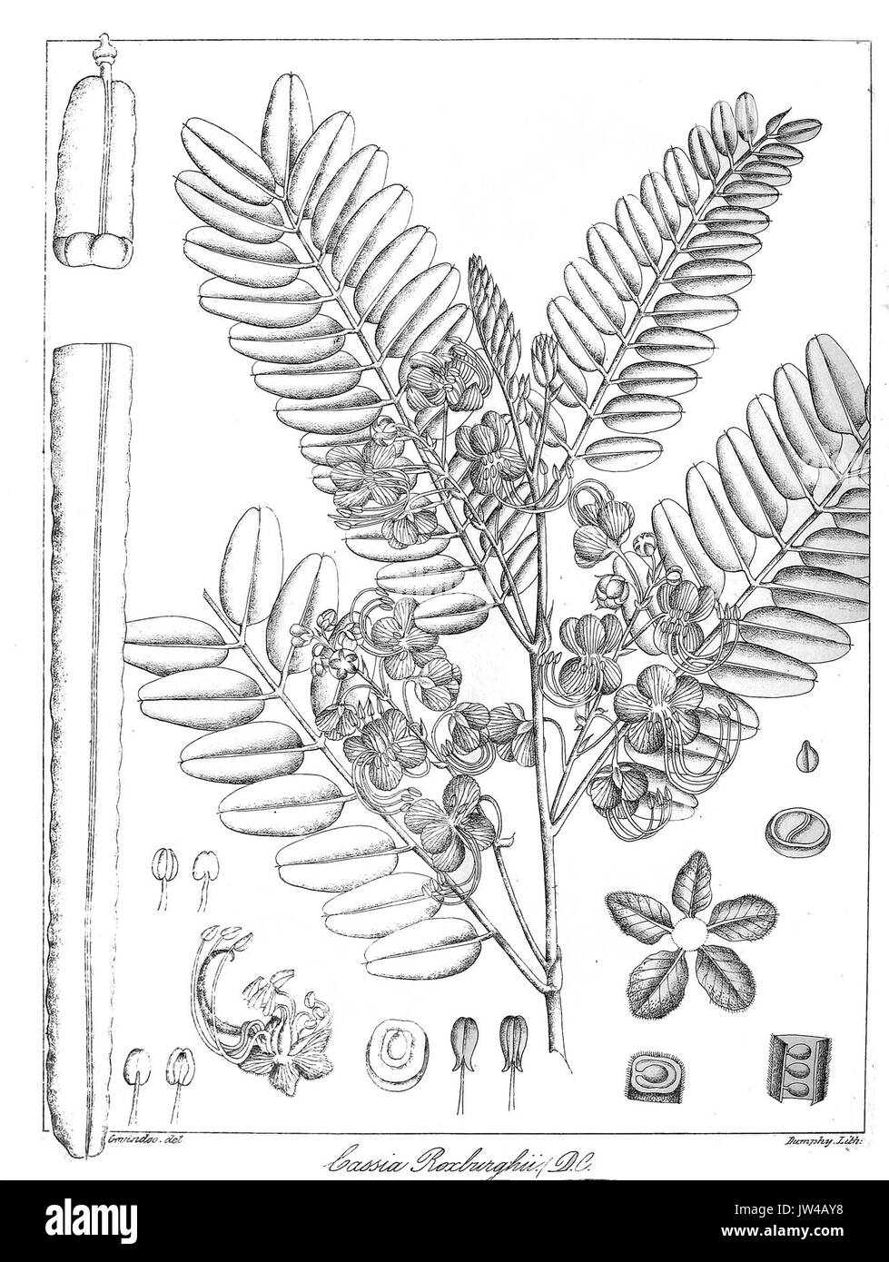 Cassia map Black and White Stock Photos & Images - Alamy