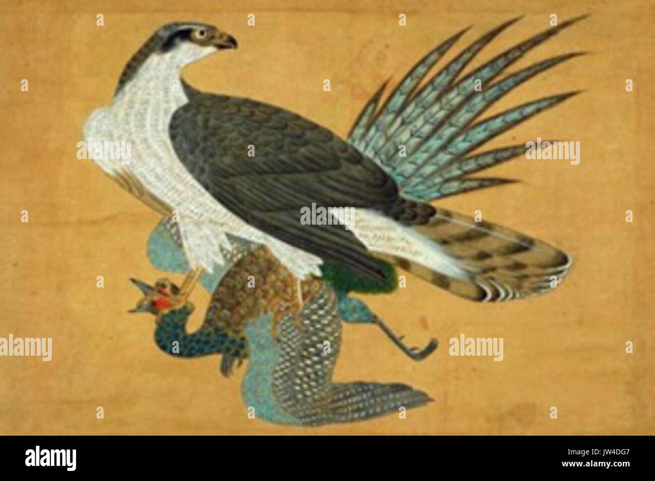 Go yozei painting 2 Stock Photo - Alamy