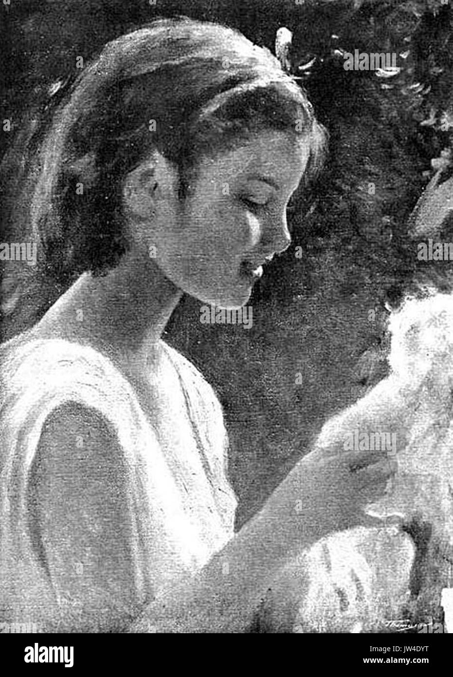 Fent High Resolution Stock Photography and Images - Alamy