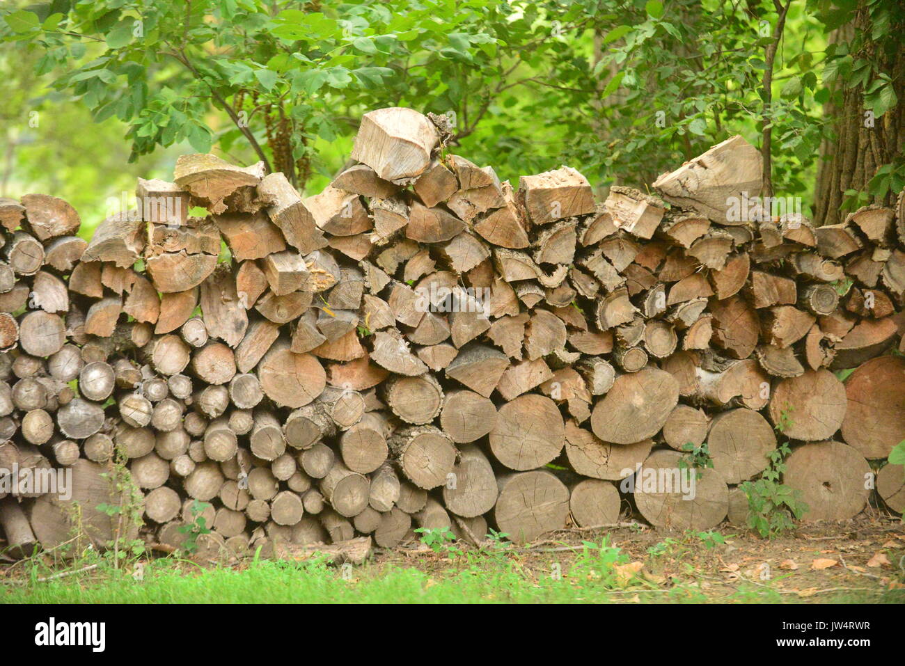 Campfire and chopped wood Stock Photo - Alamy